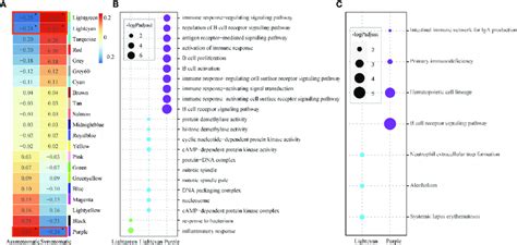 Core Modules And Their Enriched Functions A Heatmap Of Download Scientific Diagram