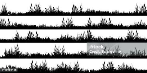 풀밭이 있는 초원 실루엣 평야에 식물 허브 다양한 잡초가 있는 탁 트인 여름 잔디밭 풍경 초본 테두리 프레임 요소 검은색 가로 배너입니다 벡터 그림 실루엣에 대한 스톡 벡터