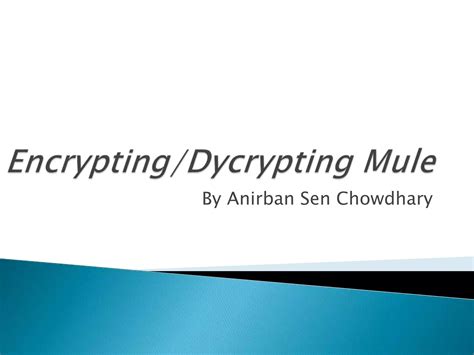 Encryptingdecrypting Mule Ppt