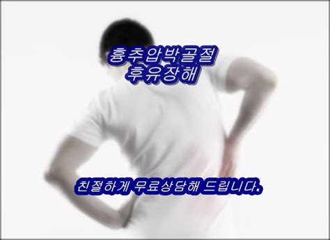 흉추압박골절 상해사고 후유장해 네이버 블로그