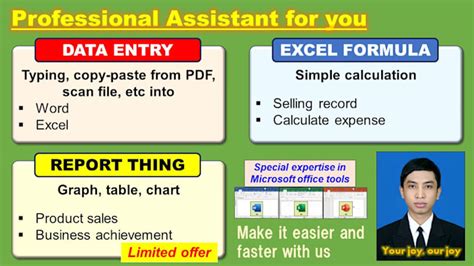 Do Data Entry Excel Formula Report Thing With Joy For You By