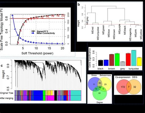 Gene Differential Expression And Co Expression Analyses A The Soft