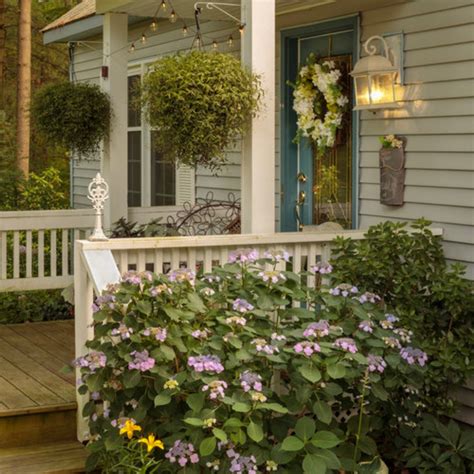 Tuff Stuff Top Fun™ Hydrangea Plant Addicts