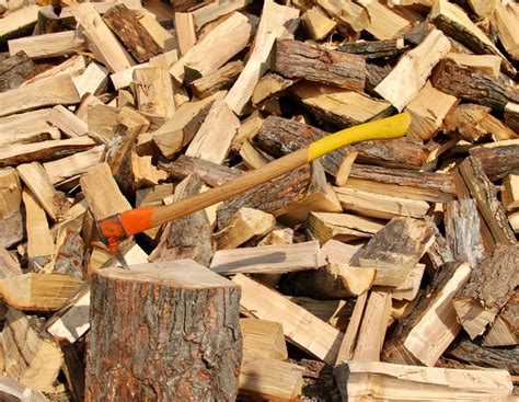 20 Types Of Axes Every Homeowner Should Know