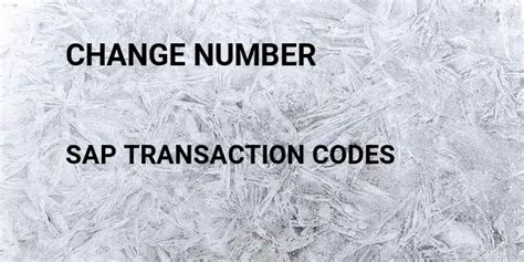 Change Number Tcode In SAP Transaction Codes List Change Number Tcode In SAP Transaction Codes List