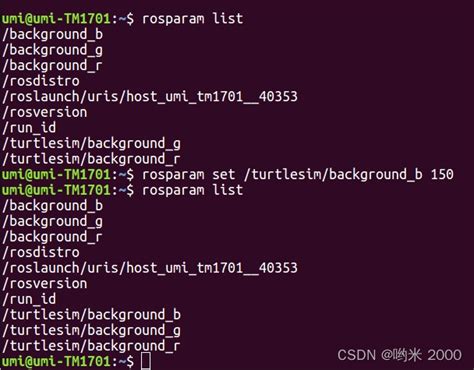 【ros】rosparam Set Turtlesimbackgroundr 150 背景不变？原因与解决turtlesim 改了frame无变化 Csdn博客