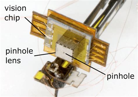 The Insect Scale Robot Uw Robofly With The Fully Fabricated Flight