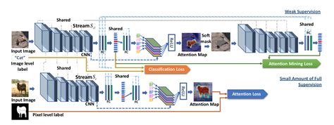 Paper Tell Me Where To Look Guided Attention Inference Network Cam Grad Cam 知乎