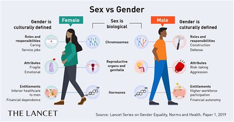 Sex And Gender Are They The Same Thing