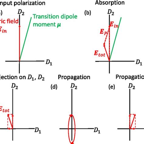 Simplified View Of The Propagation Of An Electric Field Through A