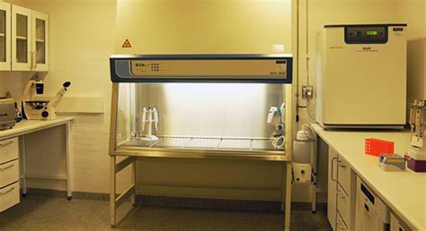 Lm Sample Preparation University Of Copenhagen