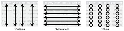 Variable Types And Examples Stats And R