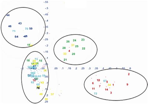 Principal Coordinate Analysis Pcoa Bi Plot Diagram For Grouping 78