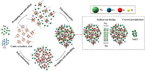 The Polymerization Process Of Cubic Octa Silicic Acid And Distribution Download Scientific