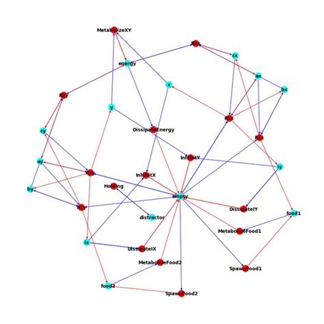 Reaction Graph For Molecules In Chemistry Metabolic Cycles With Download Scientific Diagram