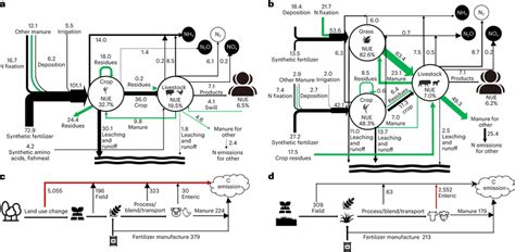 Nitrogen Budget And Carbon Emissions In Global Ruminants And