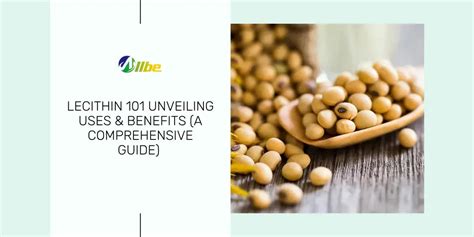 Lecithin Uses And Benefits A Comprehensive Guide Allbe Canada