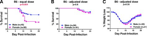 Sex Differences And Normalization Of IAV Severity In Male And Female B6 Download Scientific