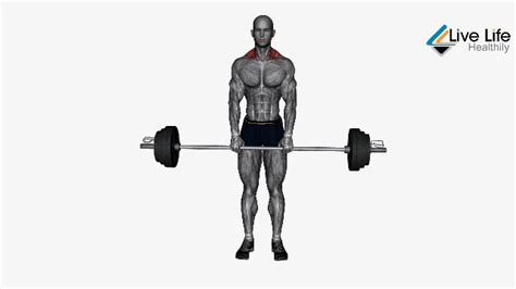 Dumbbell Shrugs How To And 7 Variations For Massive Traps