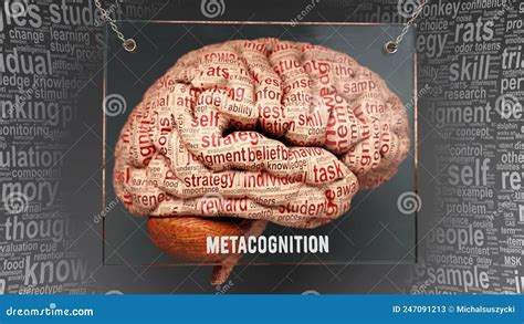 Metacognition In Human Brain Stock Illustration Illustration Of Words