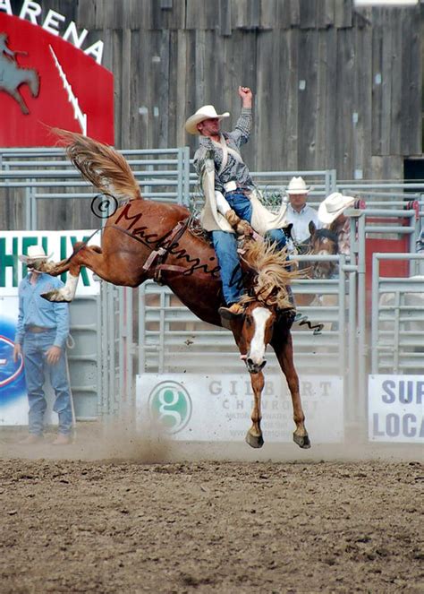 Helix Git R Dun By Saudimack On Deviantart Helix Git R Dun By Saudimack On Deviantart