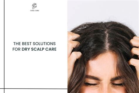 The Best Solutions For Dry Scalp Care Curl Care