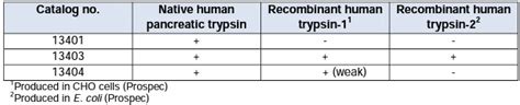 Anti Trypsin Library Pack 3 Clones Leinco Technologies
