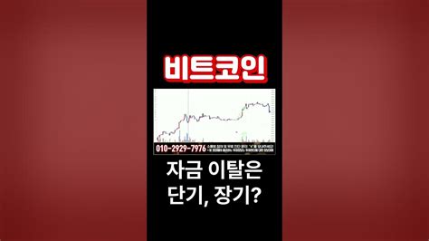 비트코인 자금 이탈은 장기적 단기적 리플코인 리플 리플코인시세 비트코인호재 비트코인급등 비트코인시세 웰시투자그룹