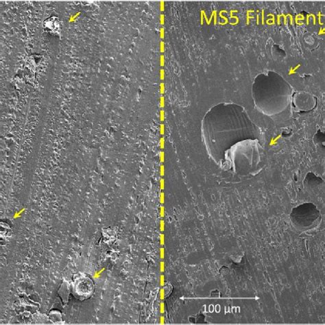 sem images showing cross section of the ms2 left and ms5 right