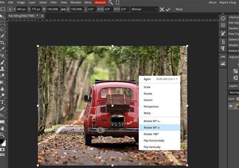 Transform An Image In Photopea How To Move Rotate Flip Scale And