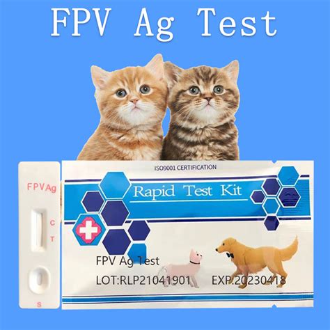 Huichao Vet Diagnostic Feline Panleukopenia Fpv Test Antigen Test - Buy ...