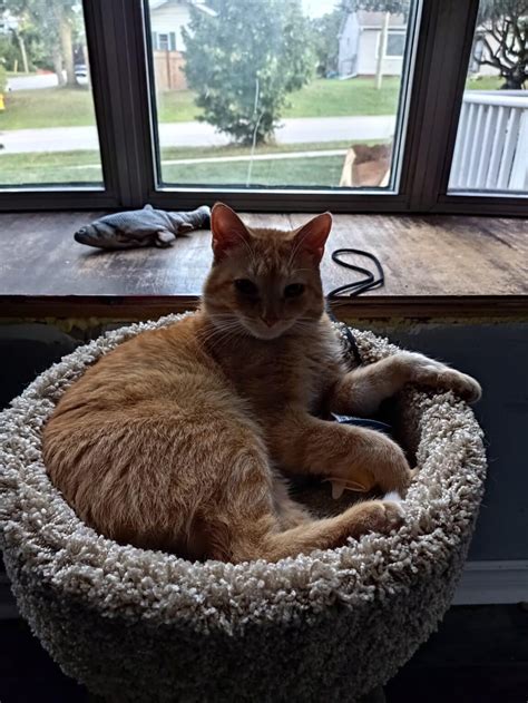 Xiaomi Poco M5s Smartphone Review CGMagazine