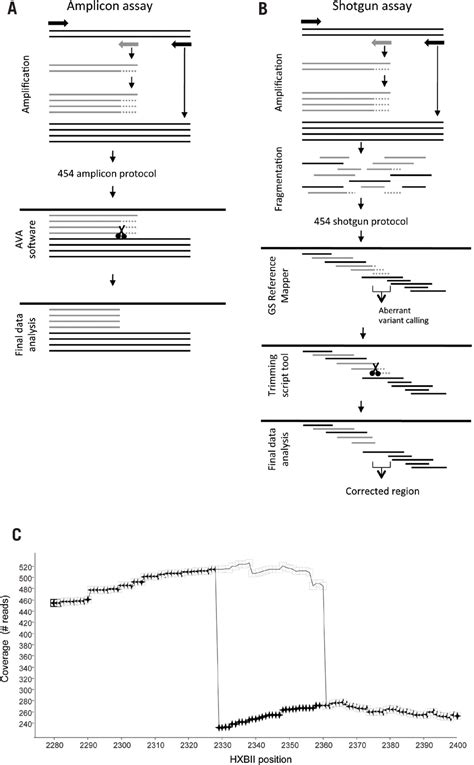 figure 1 from minor variant detection in amplicons using 454 massive