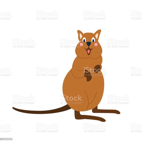 흰색 배경에 귀여운 재미 Quokka 만화 플랫 스타일의 벡터 이미지 어린이 포스터 엽서 의류 및 인테리어 장식 쿼카에 대한