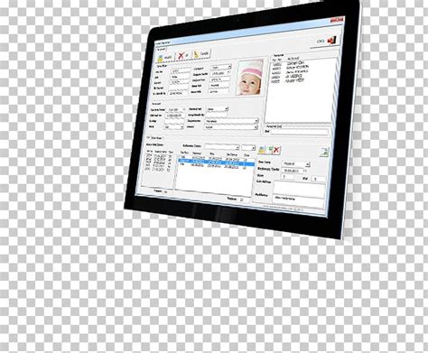 Computer Software Microsoft Excel Macro Visual Basic For Applications