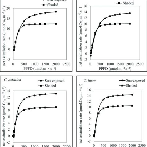 The Photosynthetic Light Response Curve Of The Sun Exposed And Shaded