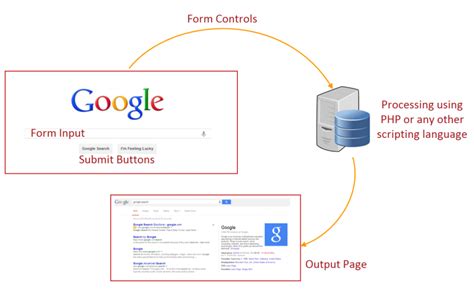 How To Create Forms In HTML WebNots