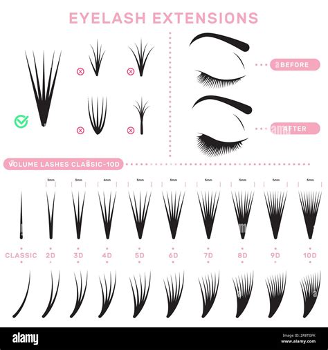 Eyelash Extension Infographics Stock Vector Image And Art Alamy