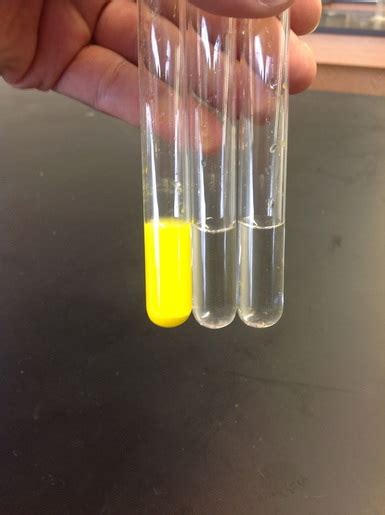 Qualitative Analysis Lab Bowie Chemistry