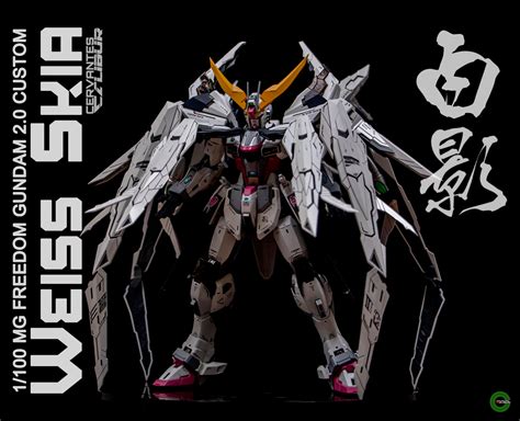Custom Build MG 1 100 Freedom Gundam Weiss Skia