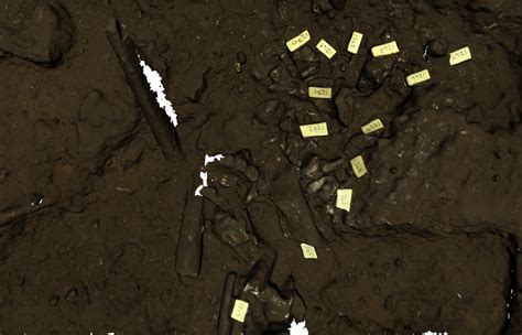Artec Eva Scans 250 000 Year Old Human Bones Homo Naledi In Pitch Black Underground Cave