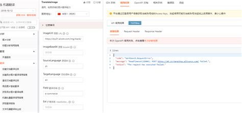 开发者调用有哪些常见问题 机器翻译 阿里云帮助中心