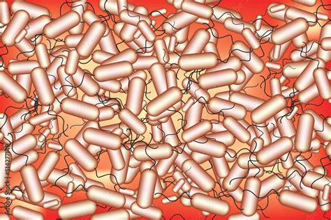 Bacillus Bacterial Colony Stock Vector Adobe Stock