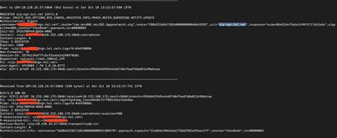 Voip Not Registering · Issue 1091 · Ansueltch Nginx Gui · Github