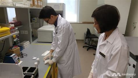 Gabungan Ujian Pap Smear Dan Hpv Boleh Percepat Pengesanan Barah Berita Mediacorp