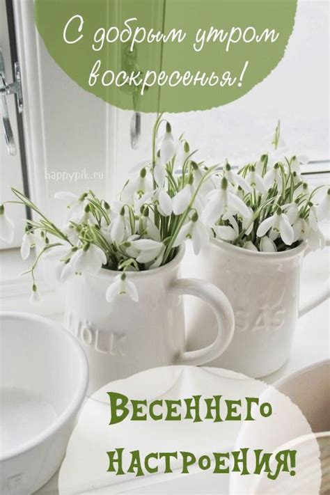 С добрым утром воскресенья Доброе утро Утро воскресенья Воскресенье