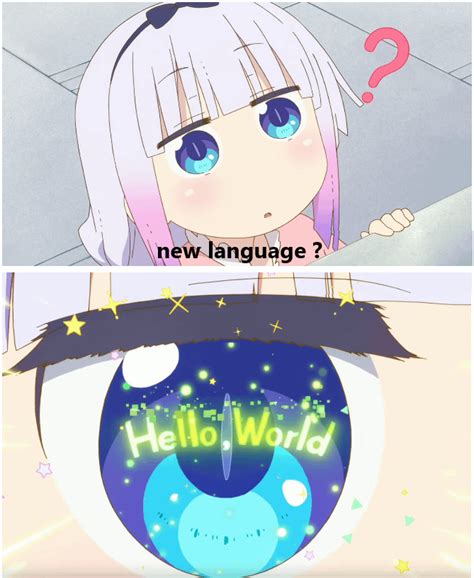 first thing first r programmerhumor