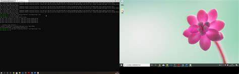 Terminal Will Not Show Completely In Fullscreen Mode When I Use Two Monitors Issue