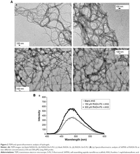 Self Assembling Peptide Nanofibers Containing Phenylalanine For The Co Ijn