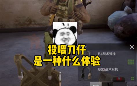 投喂刀仔 是一种什么样的体验 小鲨鱼 暗区突围 小鲨鱼 暗区突围 哔哩哔哩视频 投喂刀仔 是一种什么样的体验 小鲨鱼 暗区突围 小鲨鱼 暗区突围 哔哩哔哩视频